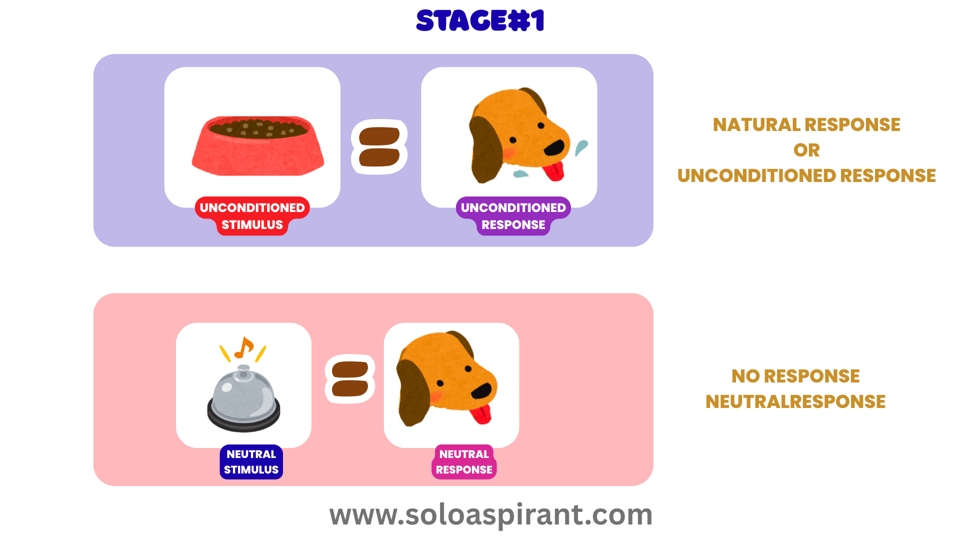 Classical Conditioning Theory of Learning